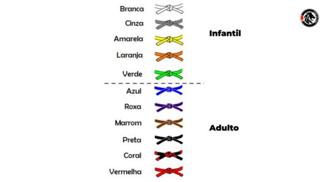 Ordem das Faixas do Jiu Jitsu: Entenda Cada Etapa da Graduação de Forma ...